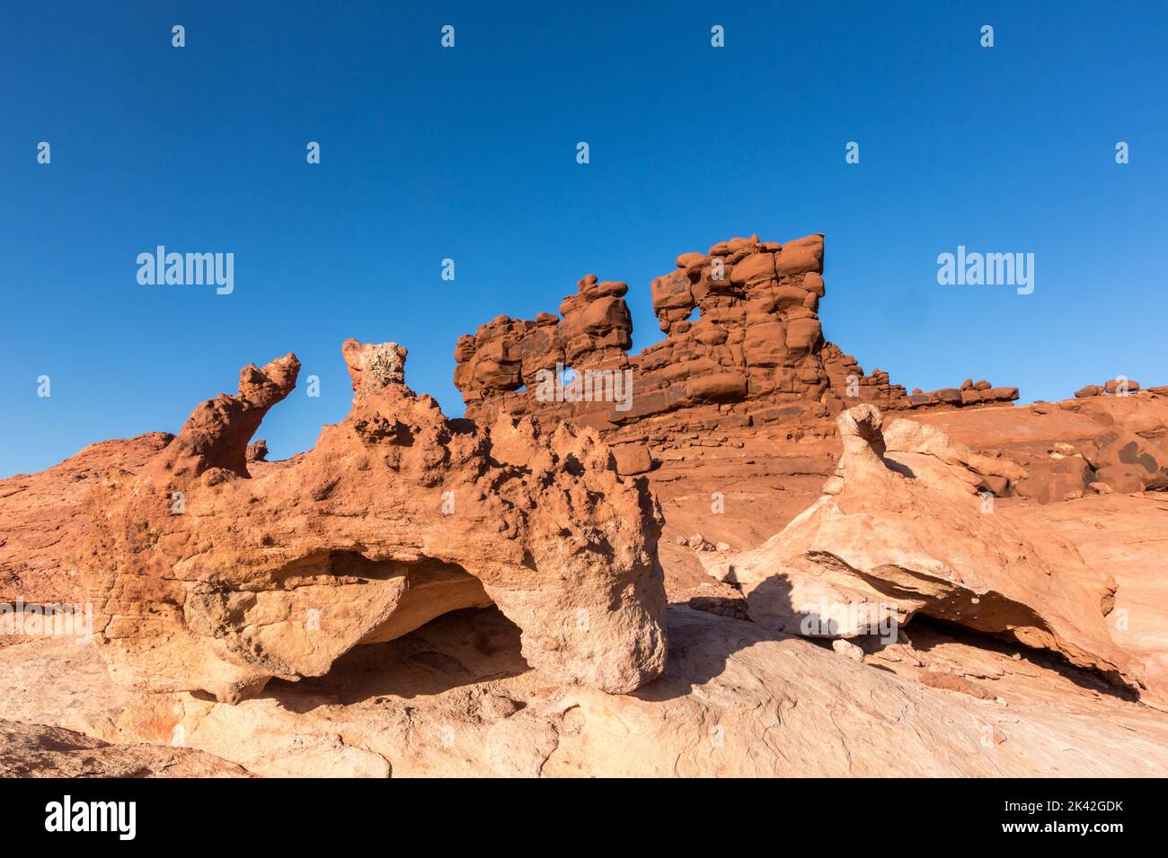 Bizarrely eroded sandstone in front of an Organ Rock Shale formation in ...
