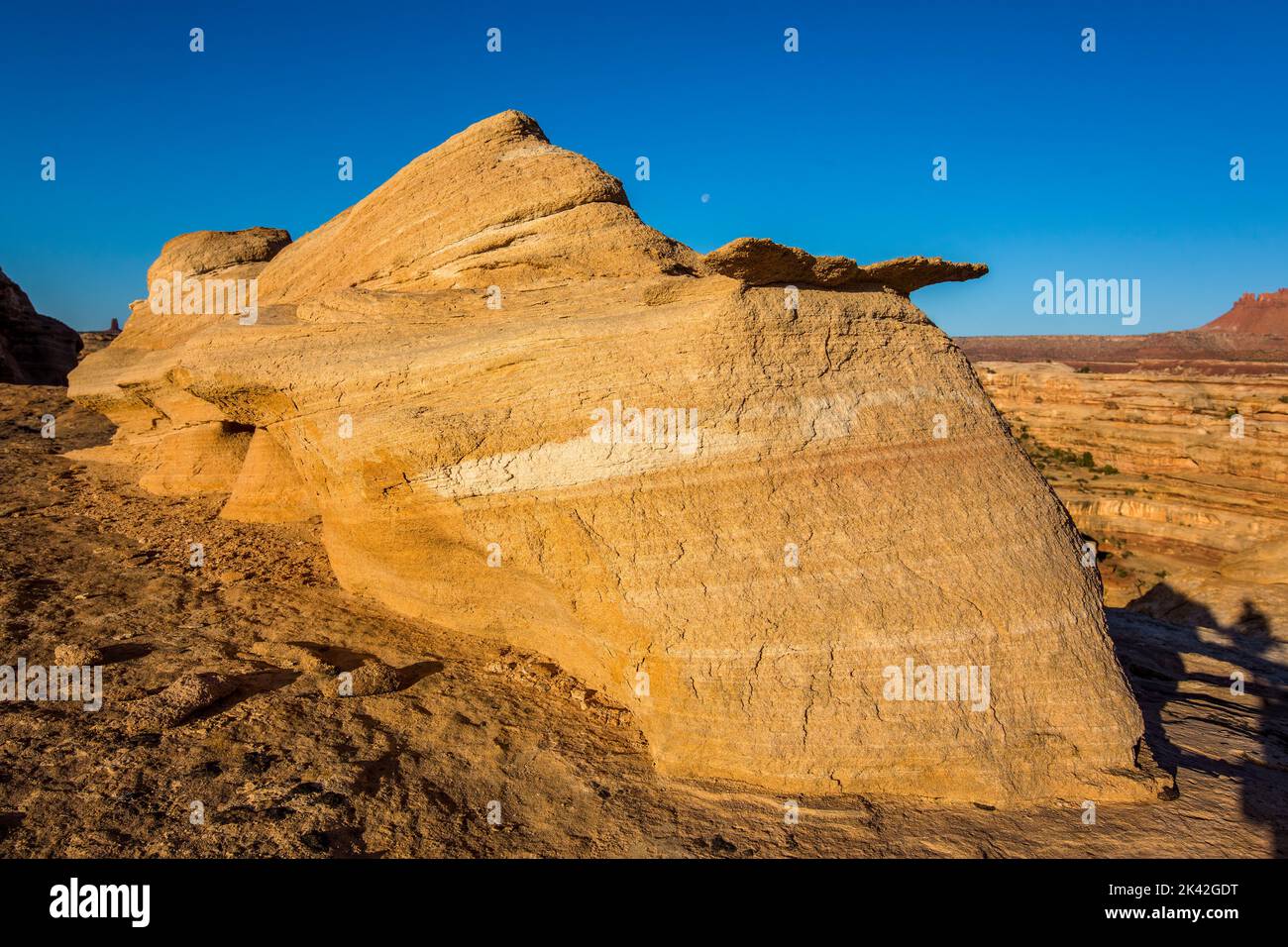 Moon over an eroded Cedar Mesa sandstone formation in the Maze District ...