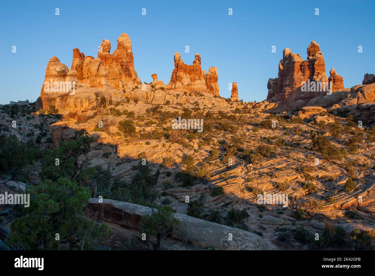 Cedar Mesa sandstone rock formations at the top of the Doll House trail ...