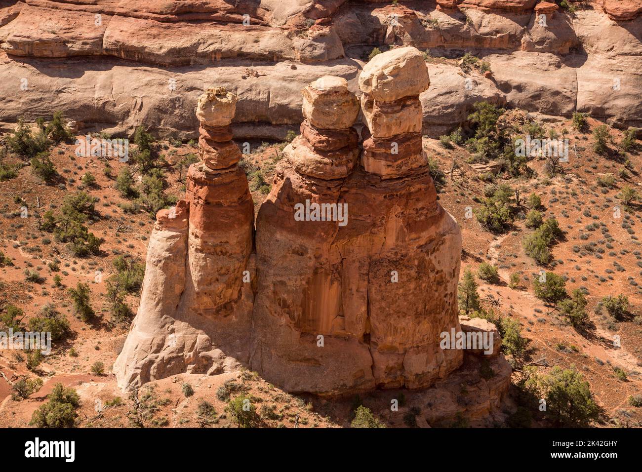 Cedar Mesa sandstone hoodoos in the Land of Standing Rocks in the Maze ...