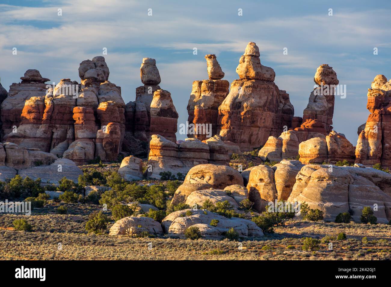 Striped Cedar Mesa sandstone formations in the Doll House area of the ...