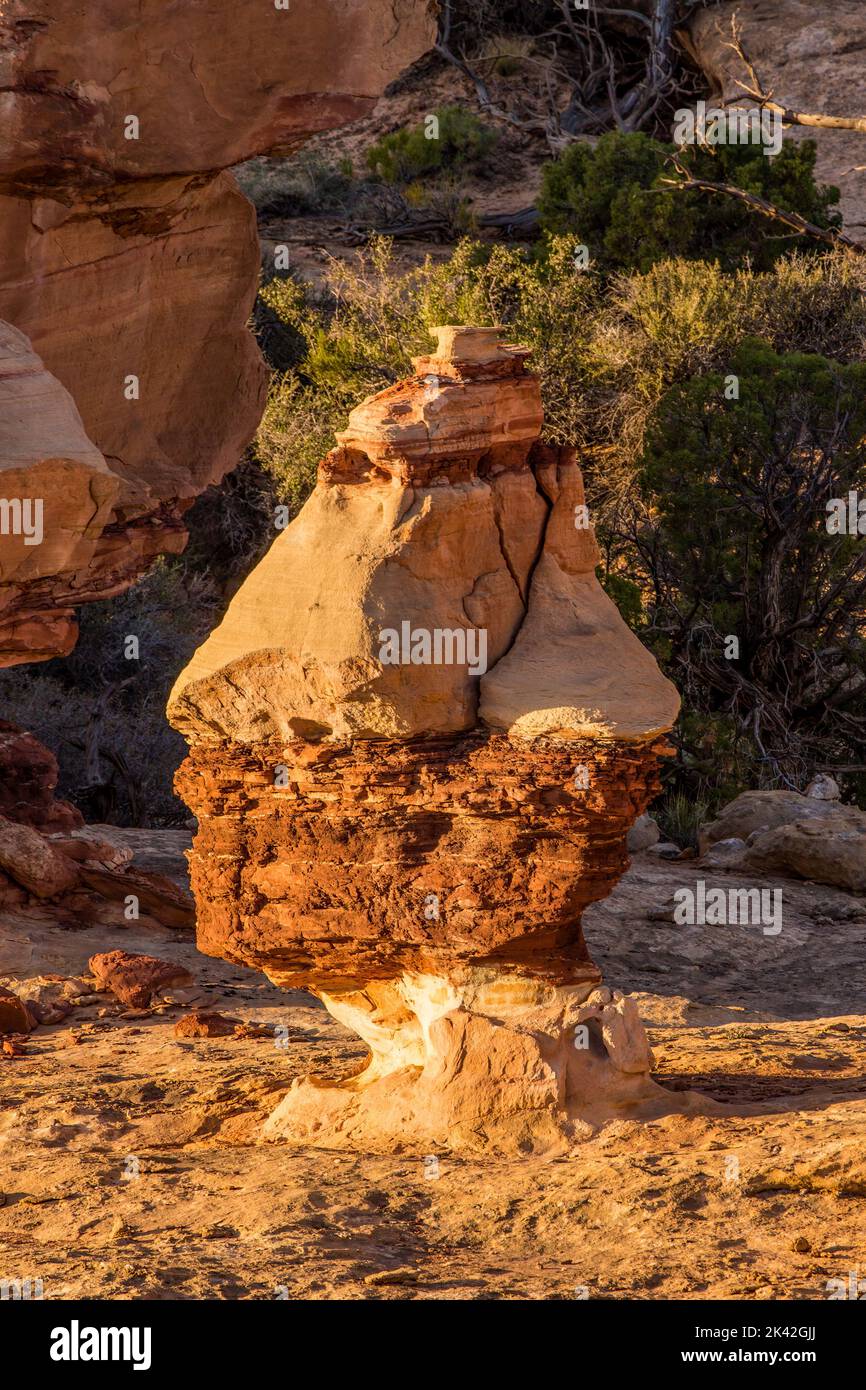 Bizarrely eroded Cedar Mesa sandstone rock formation in the Maze ...