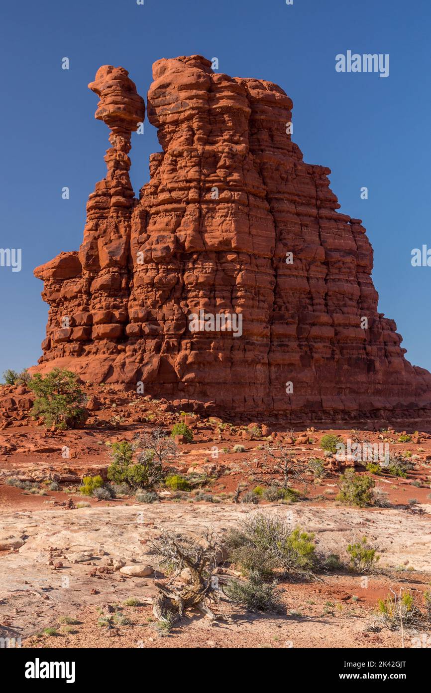 Organ rock shale hi-res stock photography and images - Alamy
