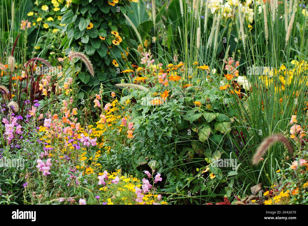 Wildflower garden planter hi-res stock photography and images - Alamy