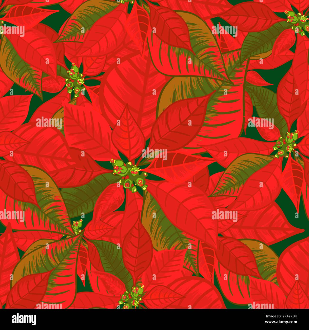 Seamless pattern with poinsettia. Christmas flower bouquet ornament in ...