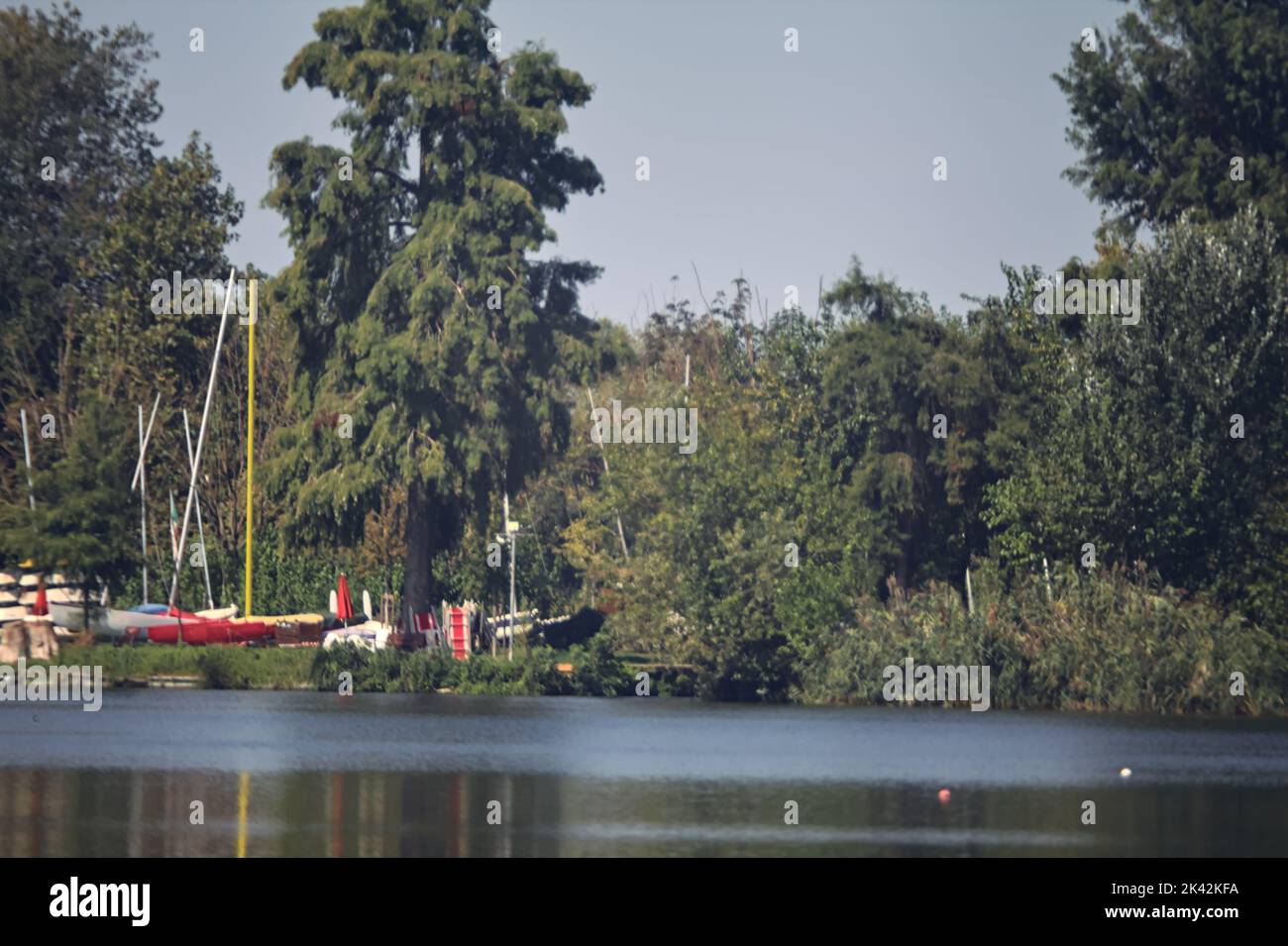 Pier in a forest by the lakeshore seen from the distance Stock Photo ...