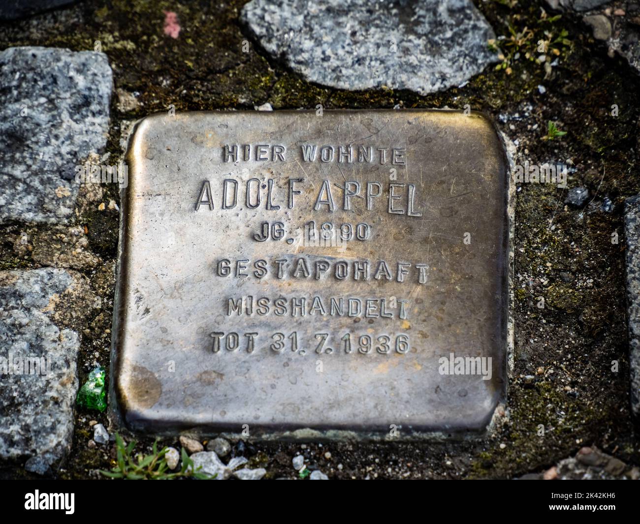 Stolperstein hi-res stock photography and images - Alamy