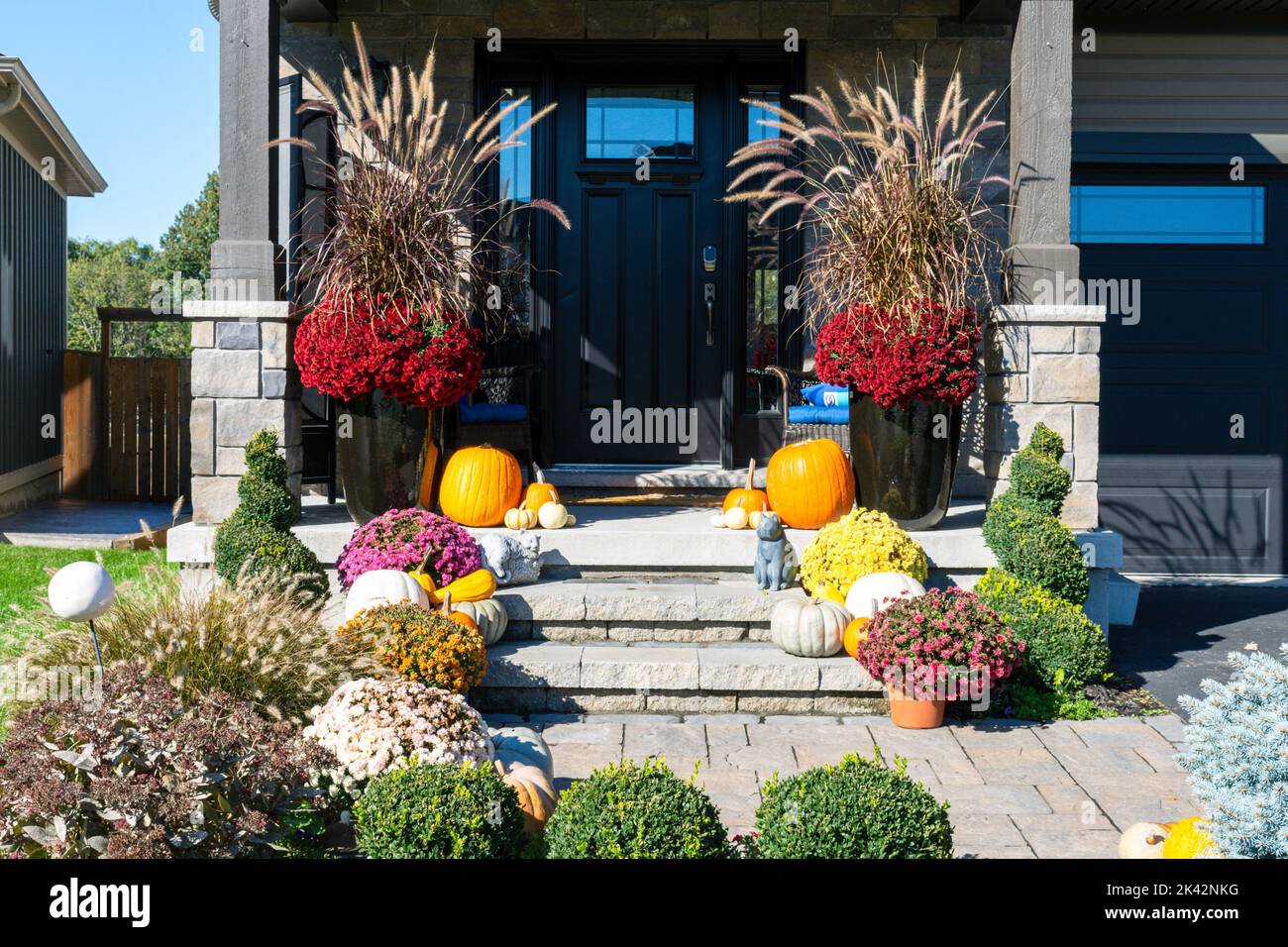 Colourful pumpkins, gourds and mums create a luxury halloween and ...