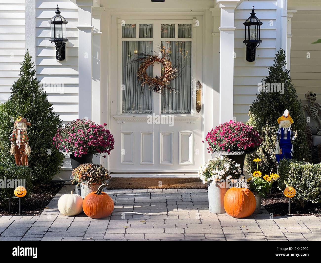 Colourful pumpkins, gourds and mums create a luxury halloween and ...