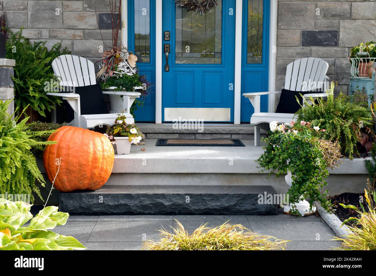 Colourful pumpkins, gourds and mums create a luxury halloween and ...