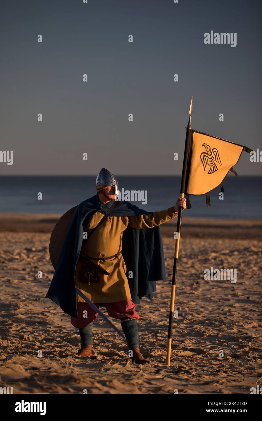 Viking warrior standing on a beach with banner displaying raven Stock ...