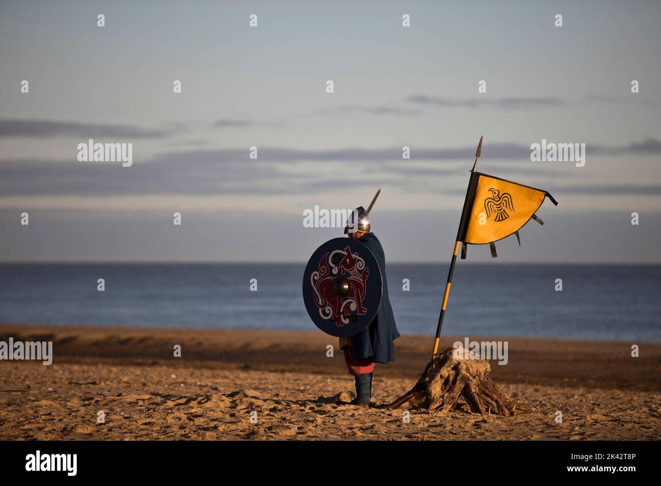 Viking warrior standing on a beach with banner displaying raven and ...