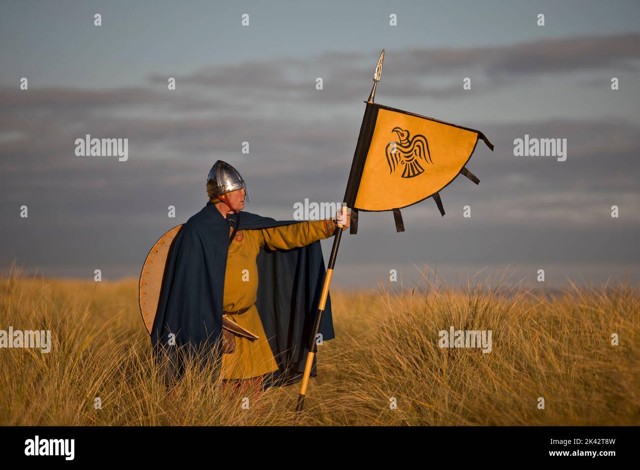 Raven banner viking hi-res stock photography and images - Alamy