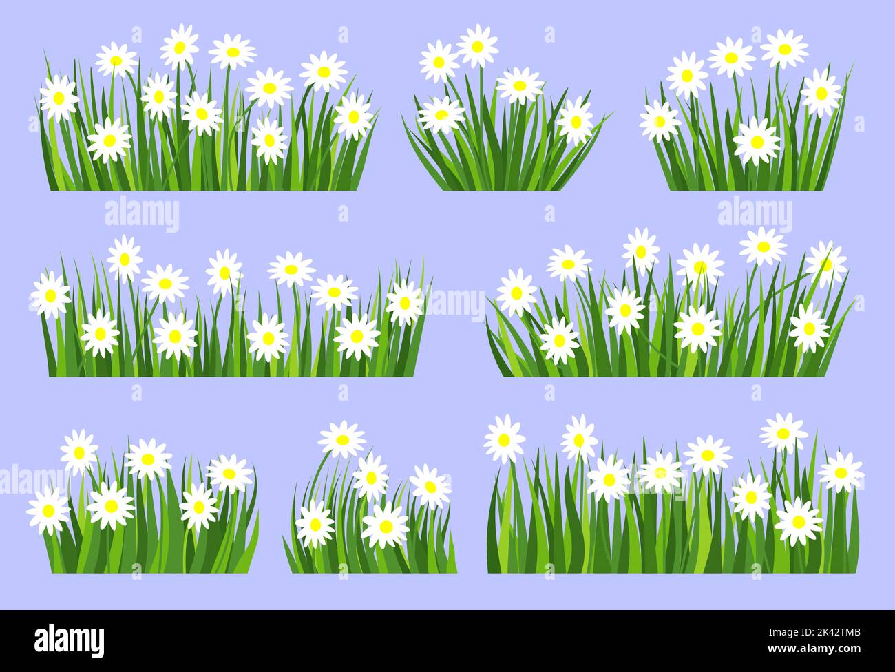 Field flowering flower springtime Stock Vector Images - Alamy
