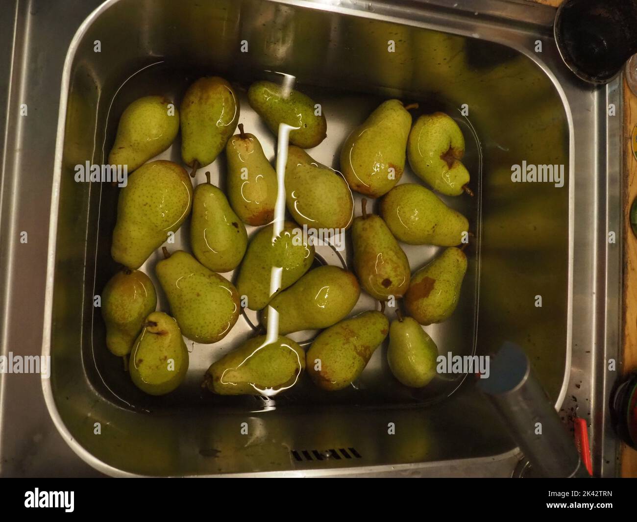 Pear preservation process. Ripe fruits in a metal sink under water to ...
