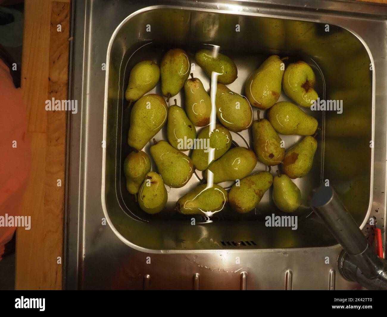Pear preservation process. Ripe fruits in a metal sink under water to ...