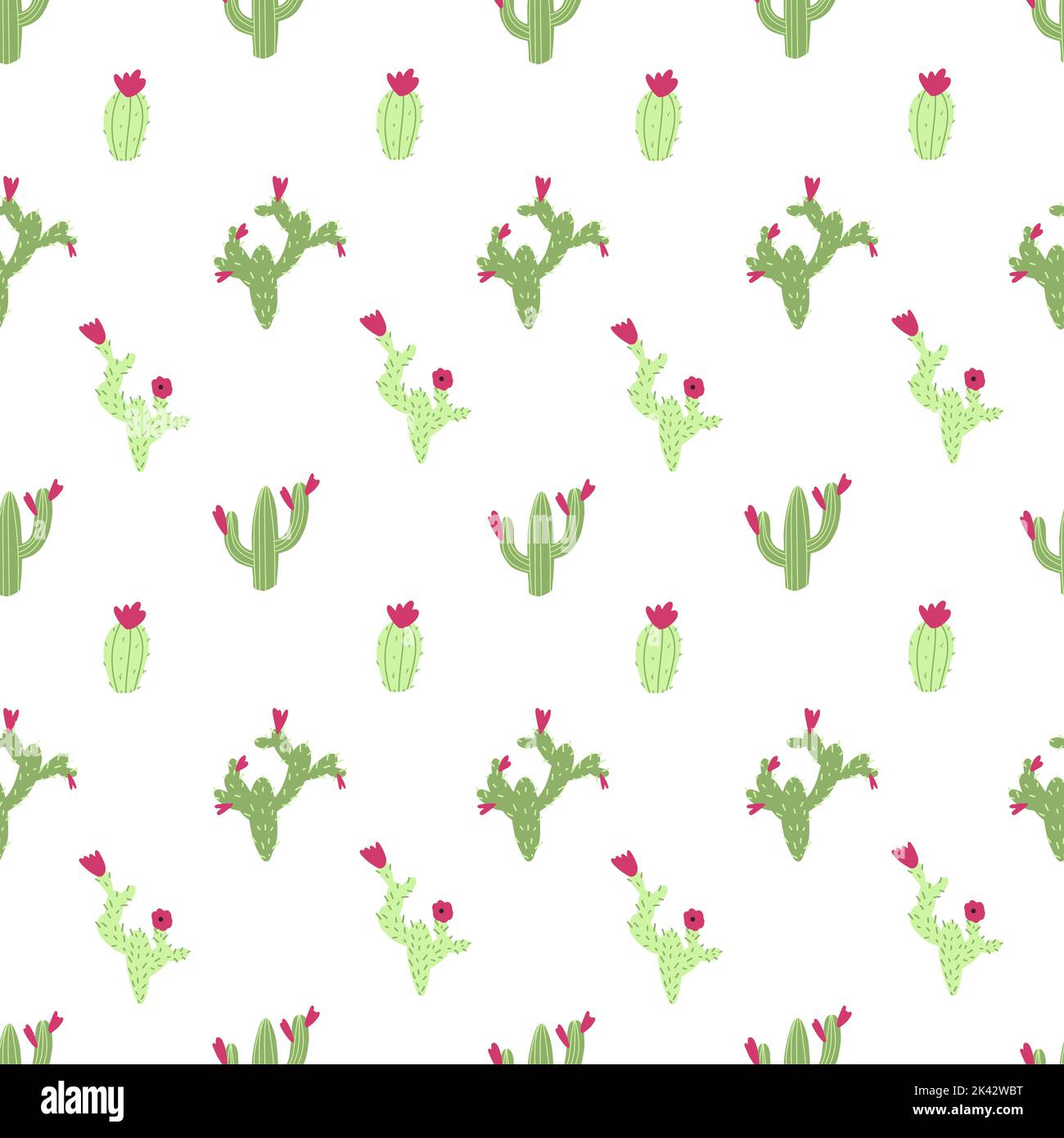 Cactus seamless pattern on white background. Nursery childish ...