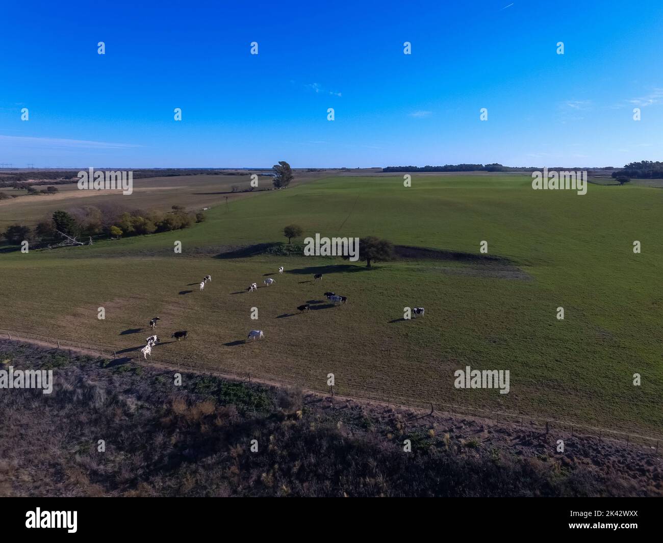 Landescape nature hi-res stock photography and images - Alamy