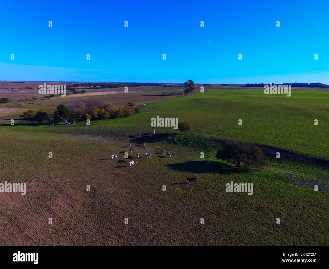 Landescape nature hi-res stock photography and images - Alamy