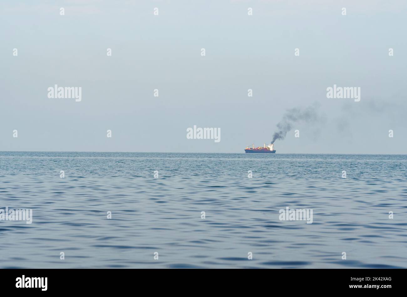 A view through the trees of a freighter moving across the sea in the ...