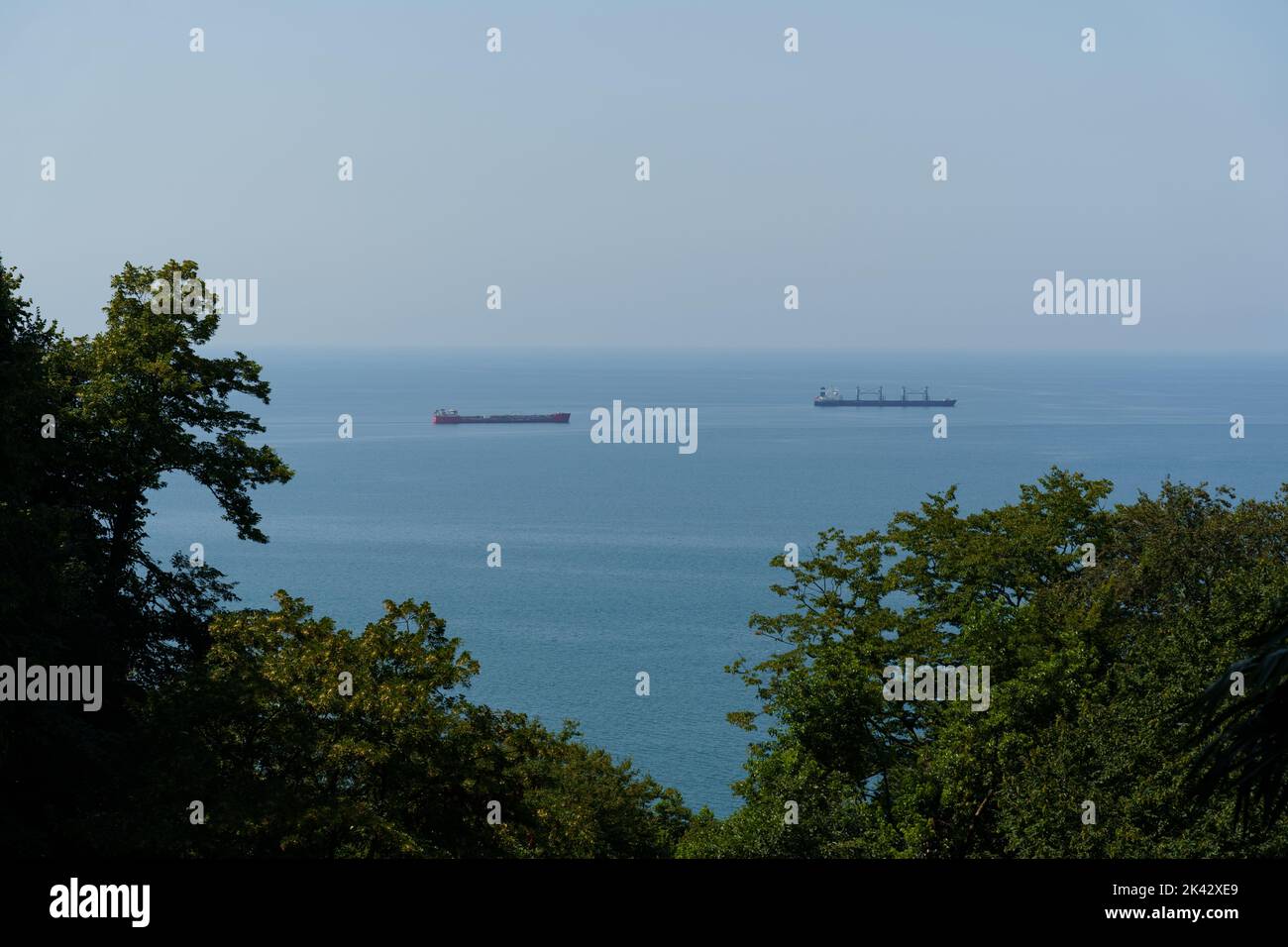A view through the trees of cargo ships moving across the sea in the ...