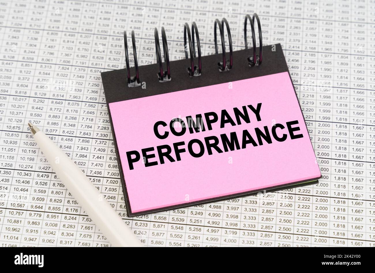 Business concept. On reporting documents and charts there is a pen and ...