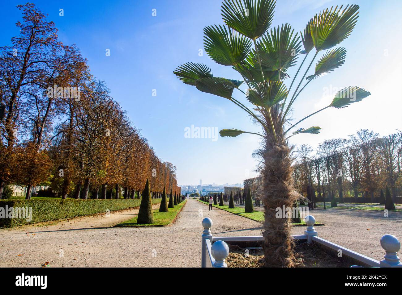 Amazing nature in the French garden (park) Saint-Claude in Paris on a ...