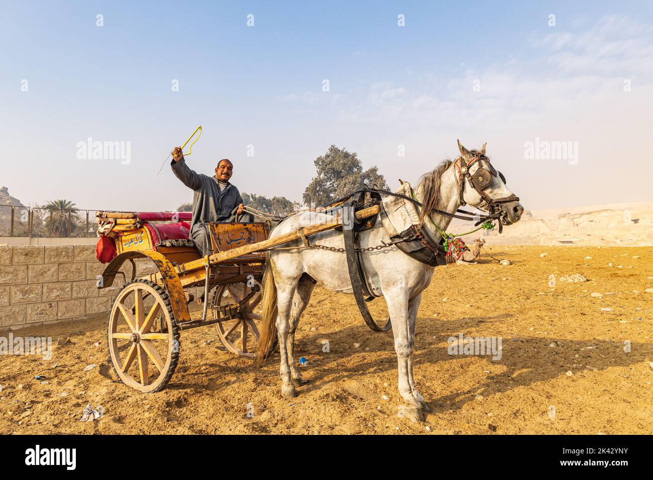 Egypt cairo giza horse cart hi-res stock photography and images - Alamy