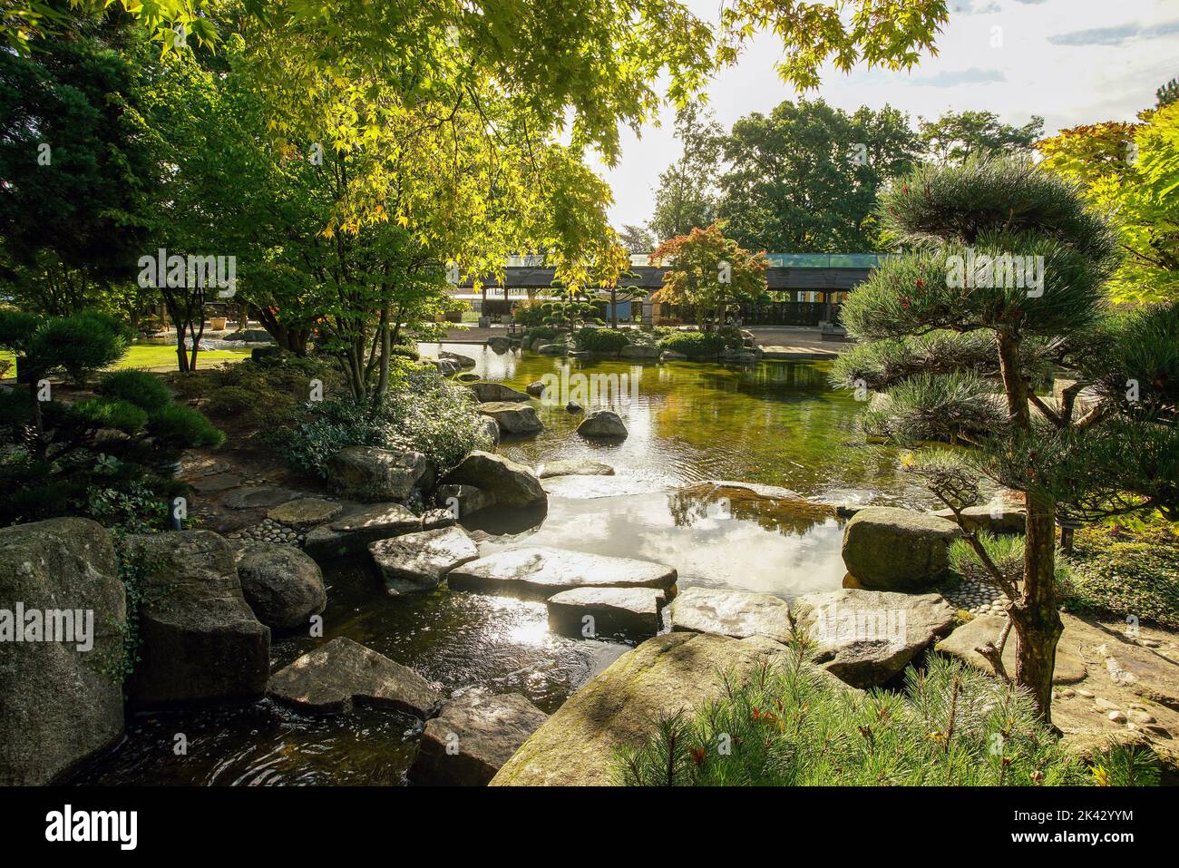 Amazing view on Japanese garden in Hamburg with rocks , pond stream and rocks and topiary trees ...