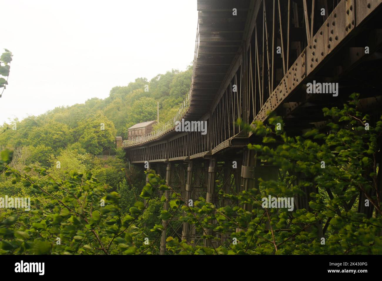 A view looking up to, from below, the Meldon Viaduct, showing the ...
