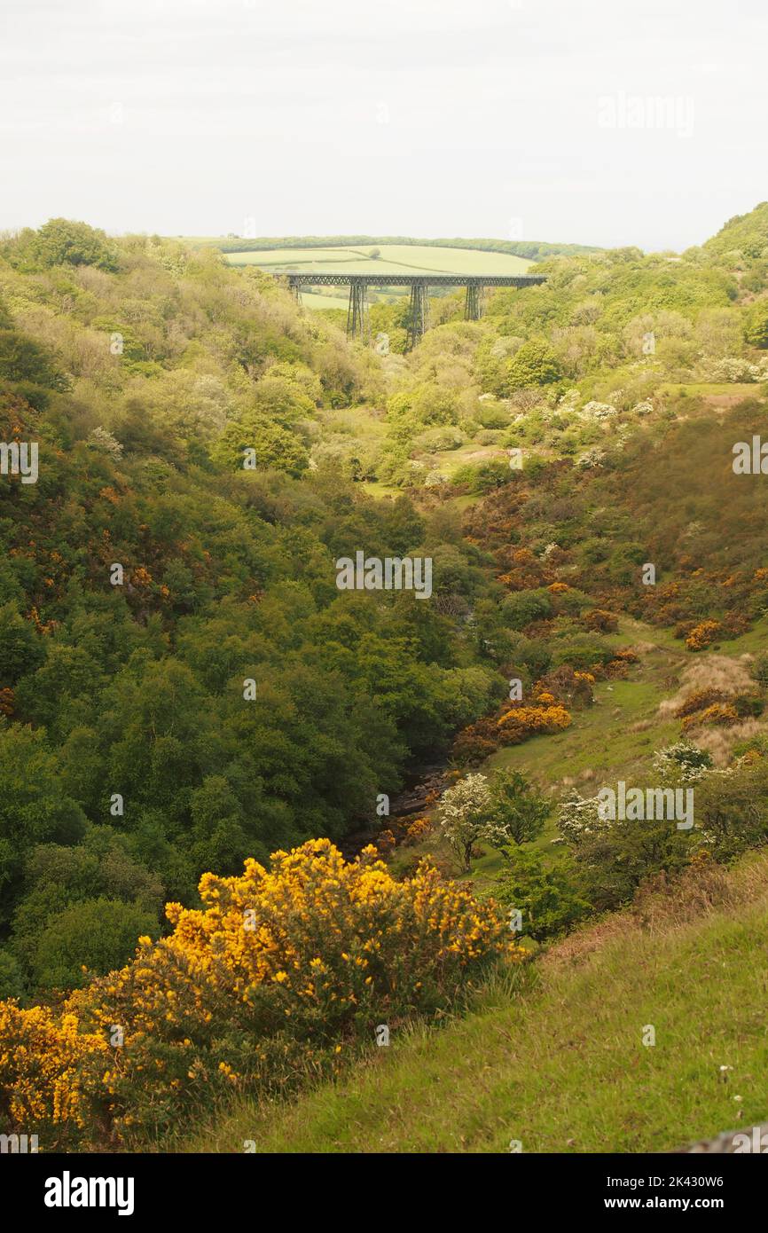 Meldon valley hi-res stock photography and images - Alamy