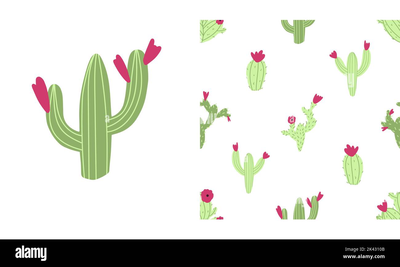 Cactus seamless pattern on white background. Nursery childish ...