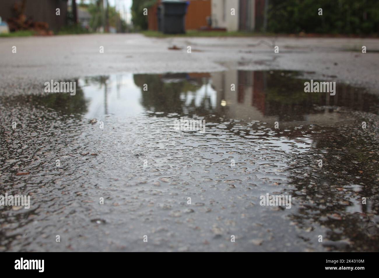 Tropical urban design hi-res stock photography and images - Alamy