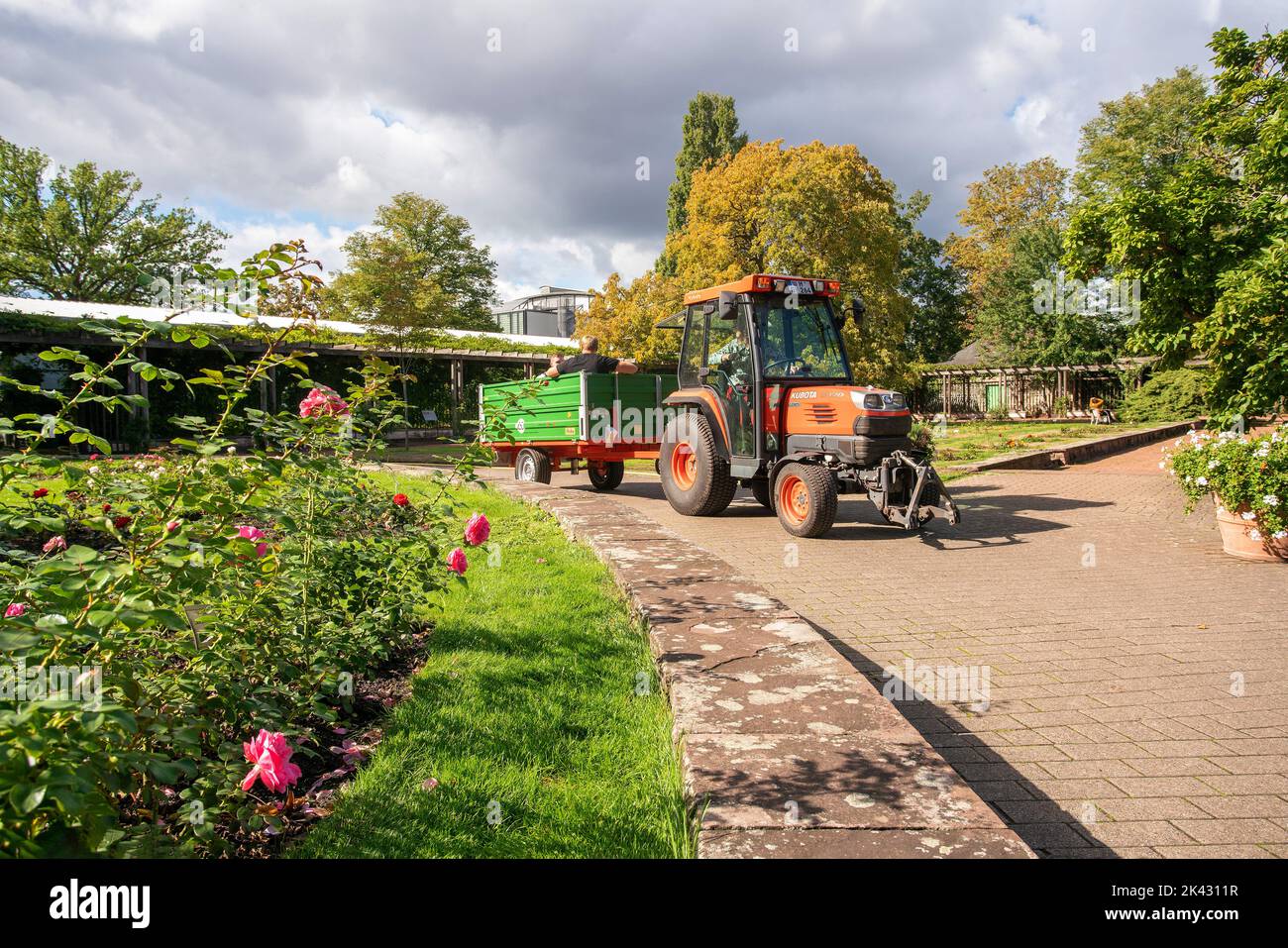 Good corner planting hi-res stock photography and images - Alamy