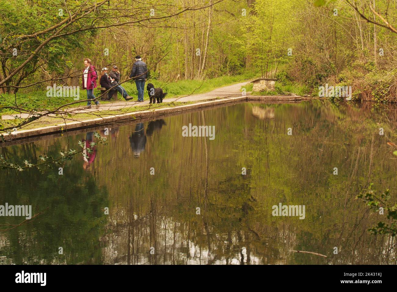 A group of people, pensioners, sitting and standing next to a lake with ...