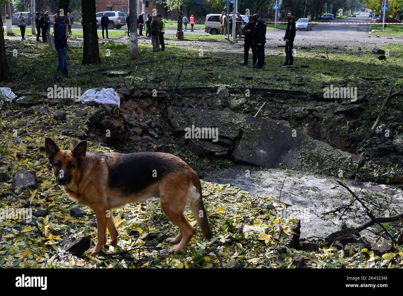 A stray dog seen near a crater created by an explosion after a Russian ...