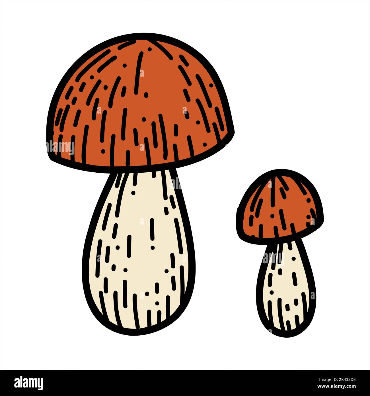 Mushroom in hand drawn doodle style. Linear autumn vector illustration ...