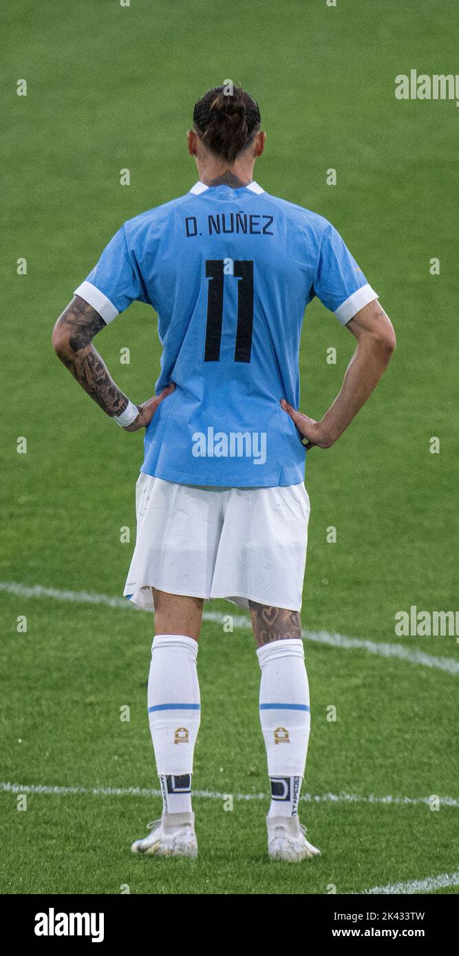 BRATISLAVA, SLOVAKIA - SEPTEMBER 27: Darwin Nunez of Uruguay during the ...