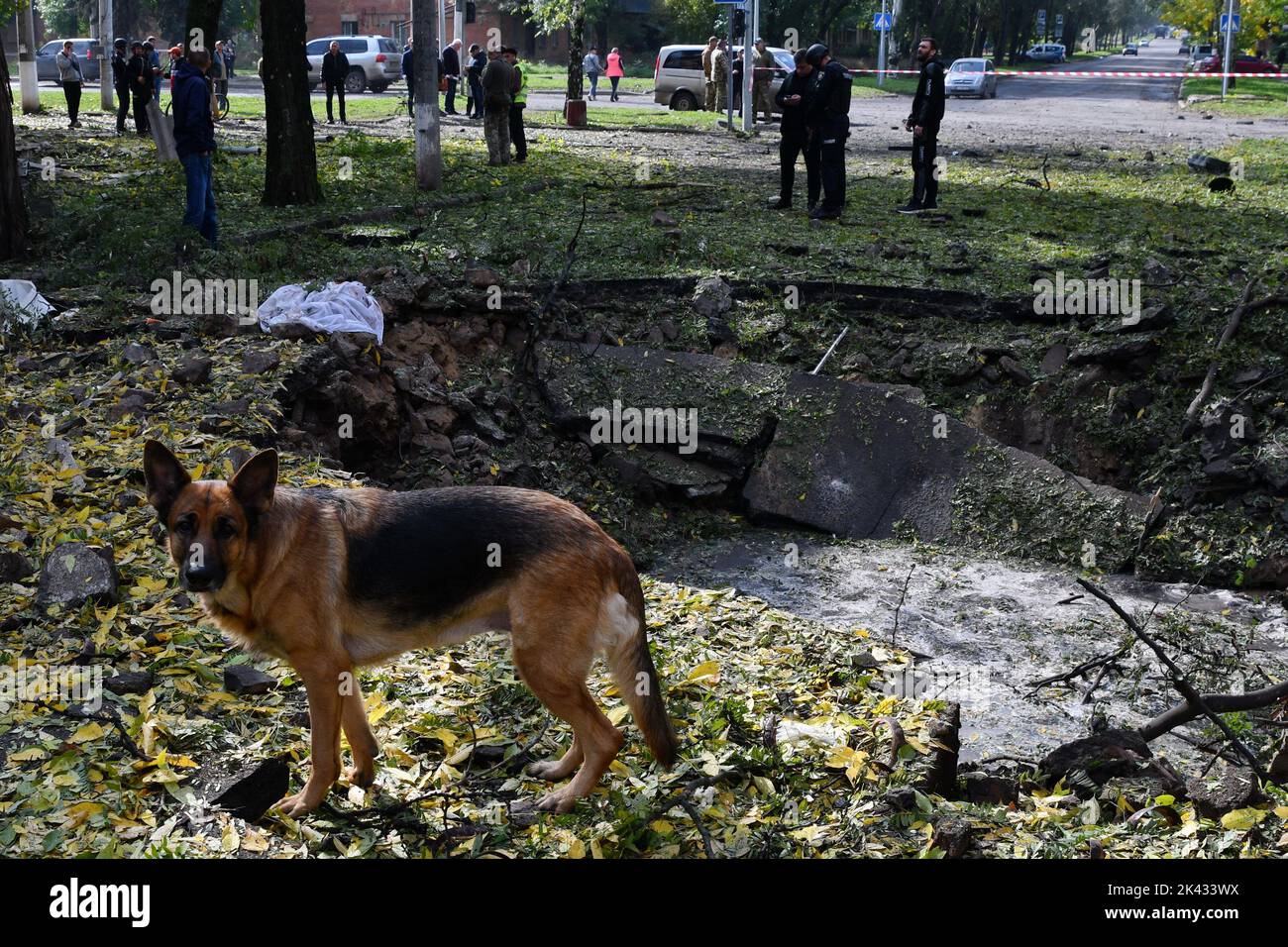 War of the stray dog hi-res stock photography and images - Alamy