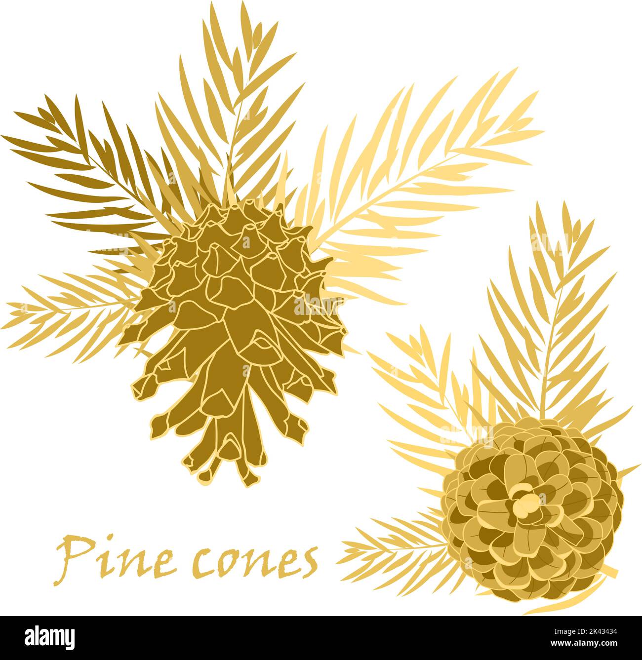 Fir tree branches with pine cone in golden color Stock Vector Image ...