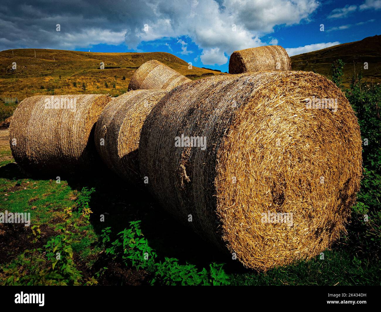 Rolled haystack hi-res stock photography and images - Alamy