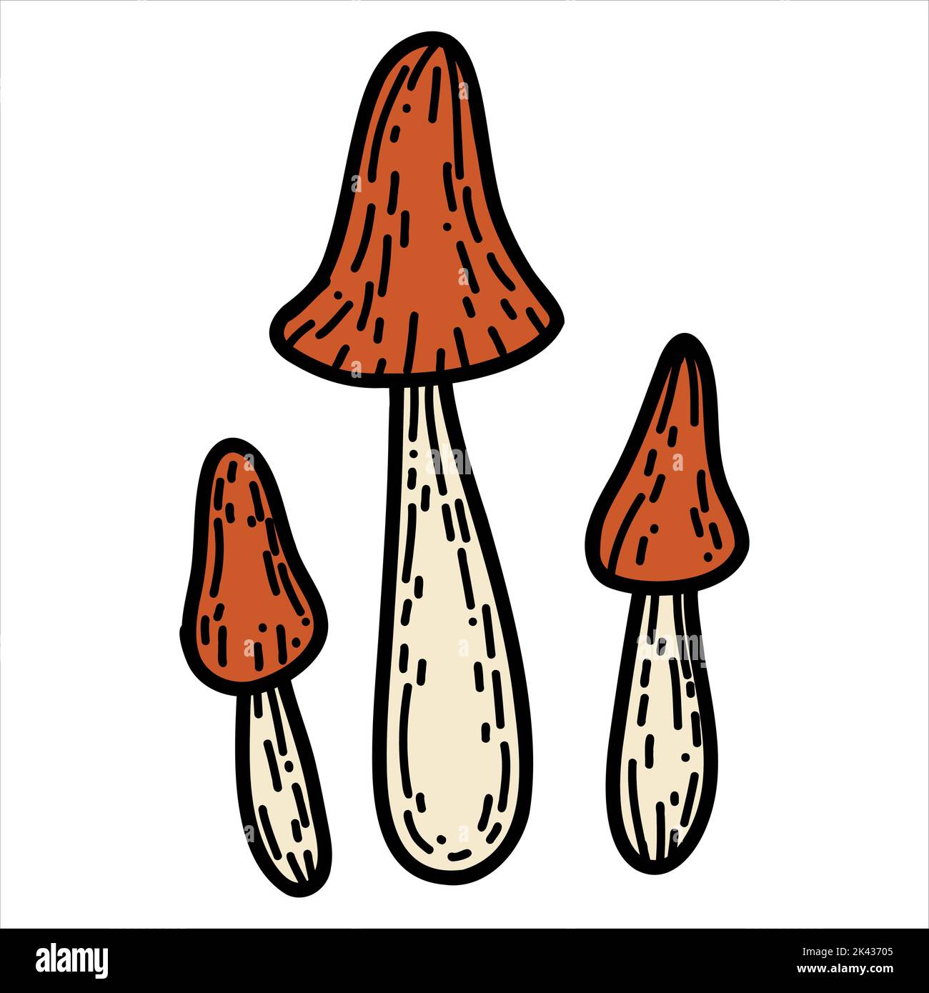 Mushroom in hand drawn doodle style. Linear autumn vector illustration ...