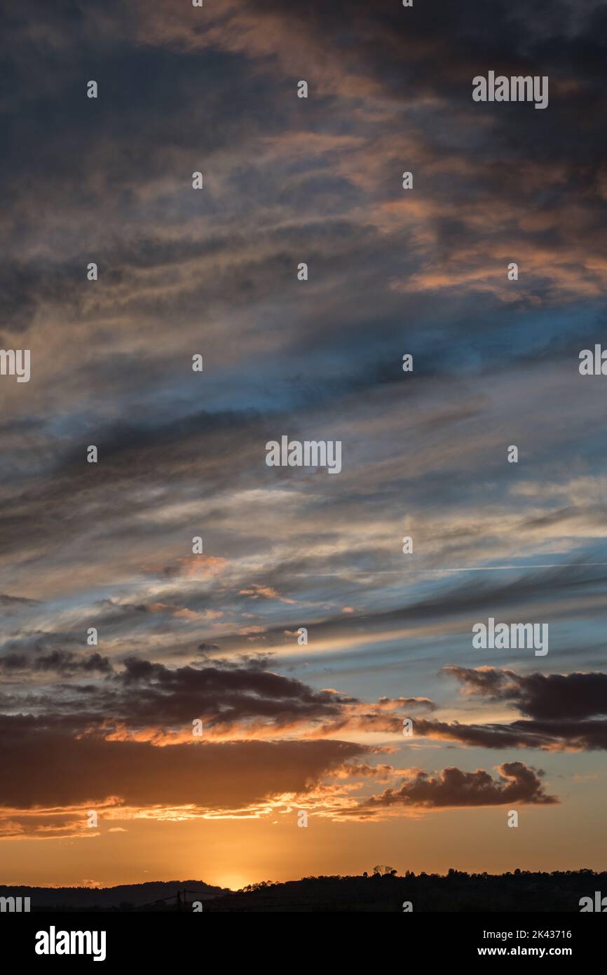 Golden de colores hi-res stock photography and images - Alamy