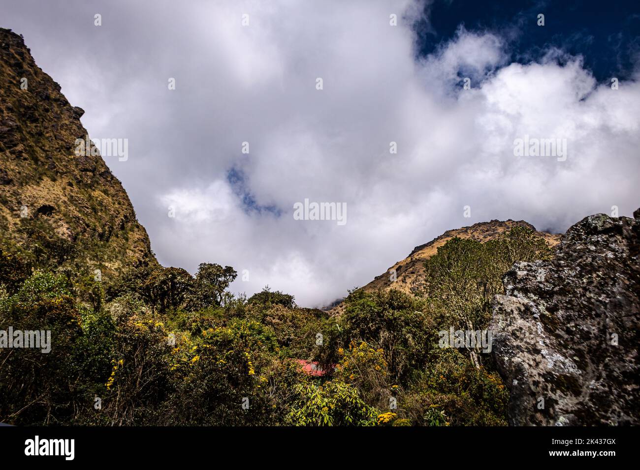 Day 2 of the Inca Trail as we entered the cloud forest section of the ...