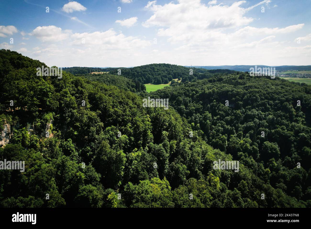 Drone aerial shot of green pine forests and spring birch groves with ...