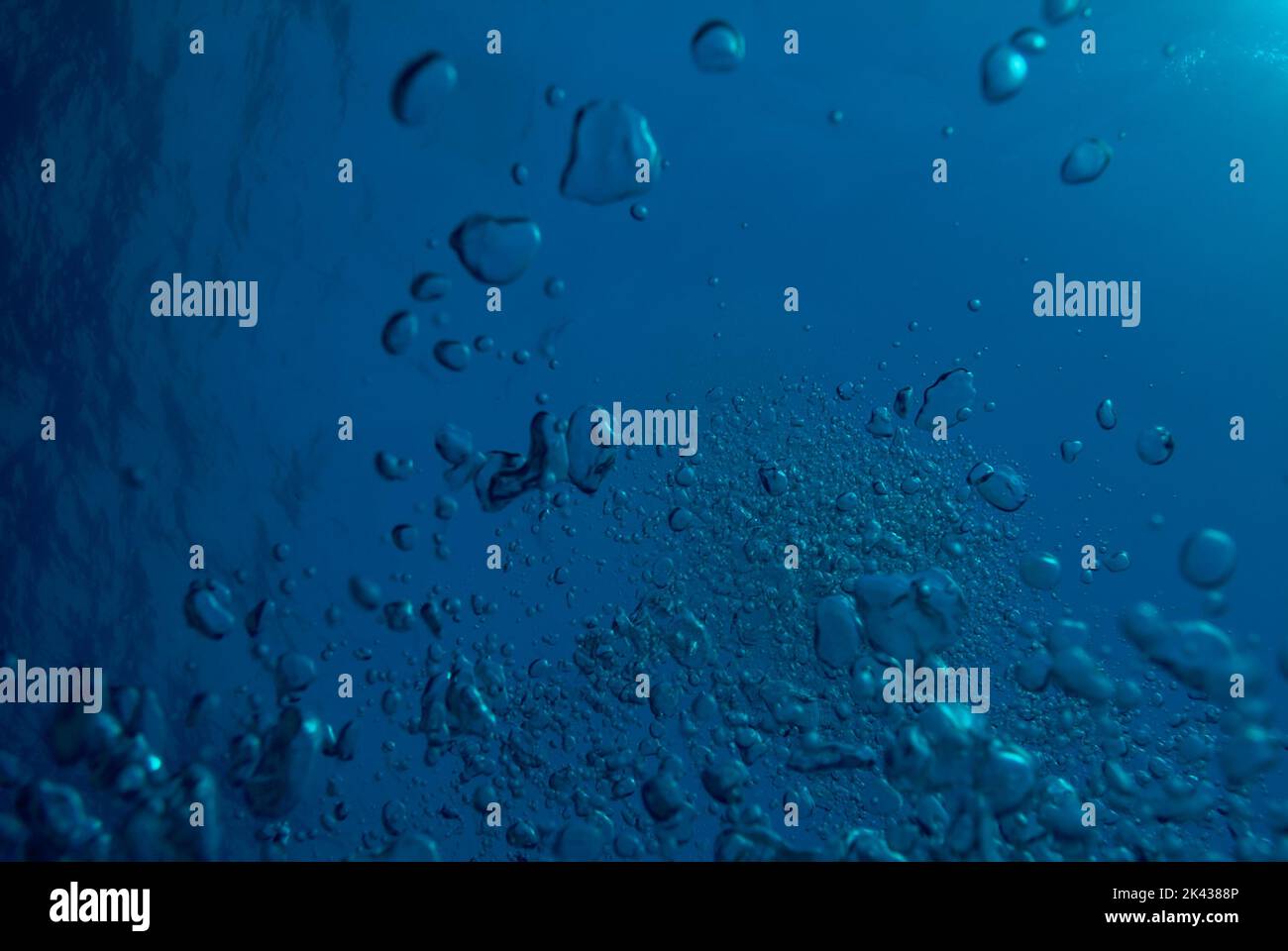 Bubbles from a diver Stock Photo - Alamy