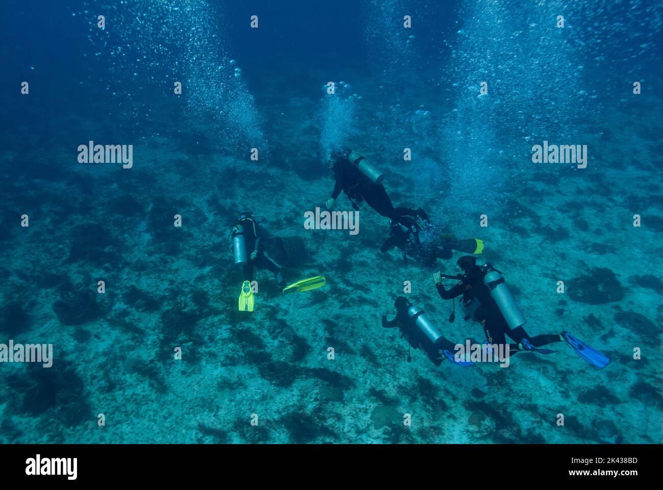 Scuba diving practice hi-res stock photography and images - Alamy
