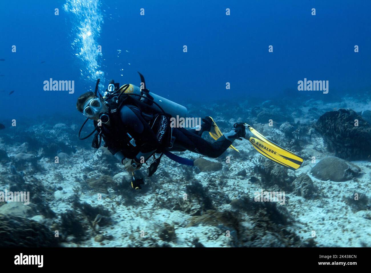 Scuba diving practice hi-res stock photography and images - Alamy