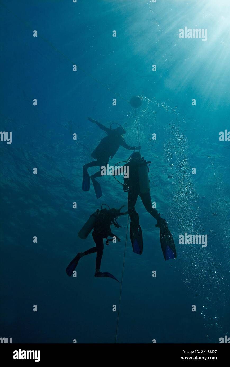 Padi diver training hi-res stock photography and images - Alamy