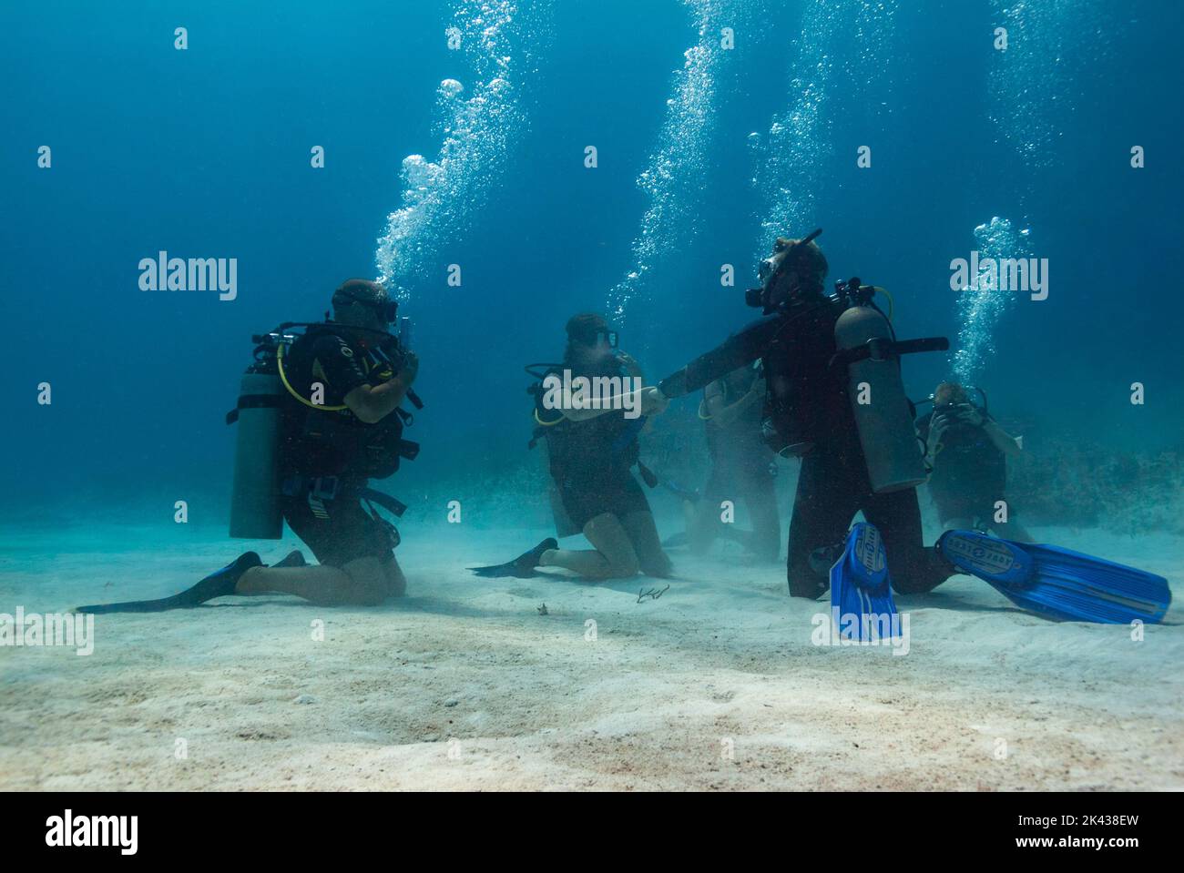 Scuba diver in practice Stock Photo - Alamy